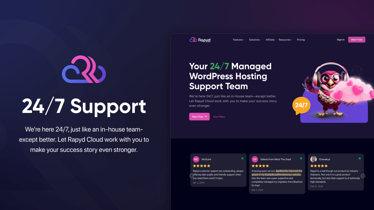 24/7 Managed Wordpress Hosting Support | Rapyd Cloud